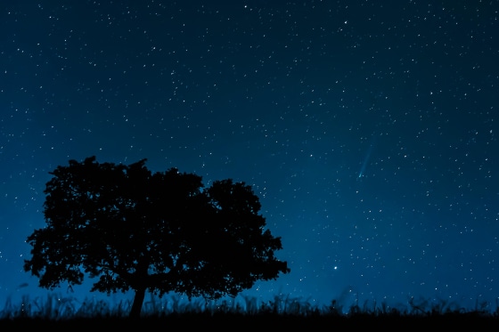 Comet ISON Makes a Comeback in Photo Contest Comet ISON Makes a Comeback in Photo Contest