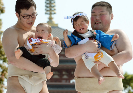 You'd Cry Too! Babies and Sumos Face off in Crying Contest