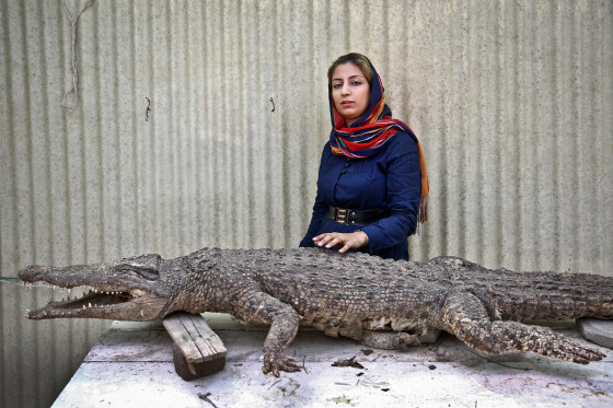 Iranian Woman's Crocodile Farm Snaps Back Against Sanctions