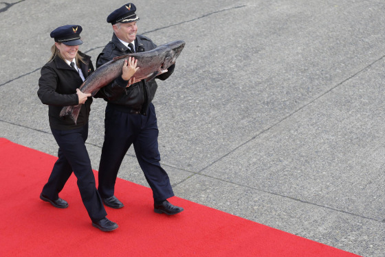 Salmon Gets Red Carpet Treatment as Season Opens