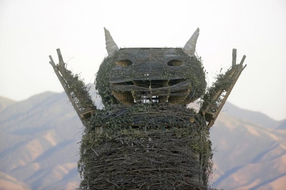 Element 11 Festival-Goer Dies in Desert Bonfire