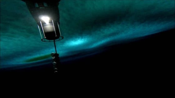 Icefin Robotic Submersible Probes Antarctic Depths
