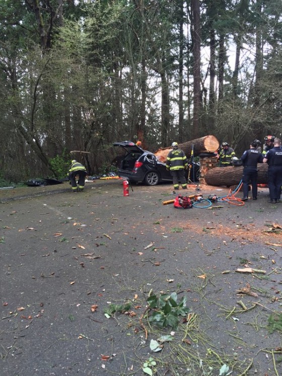 One Dead as Powerful Winds Whip Across Washington State
