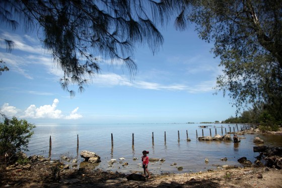 U.S., Cuba Natural History Museums Announce Historic Collaboration