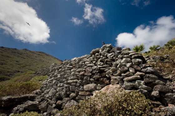 Dept. of Interior Finalizes Rule to Recognize Native Hawaiian Government