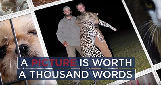 Virginia Ads Paint Donald Trump as Threat to Animals