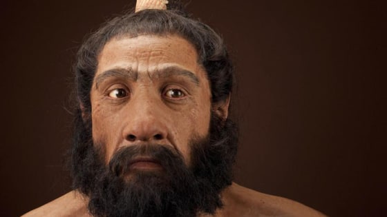 How much Neanderthal DNA do humans have? What does it mean?