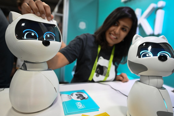 At Ces Techs Biggest Trade Show Privacy Was The Buzzword