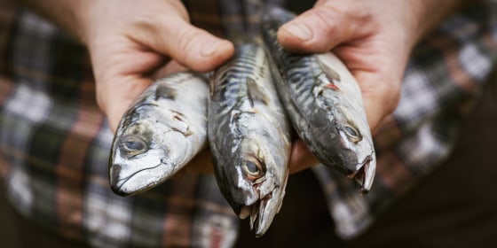 How to cook different fish perfectly every time