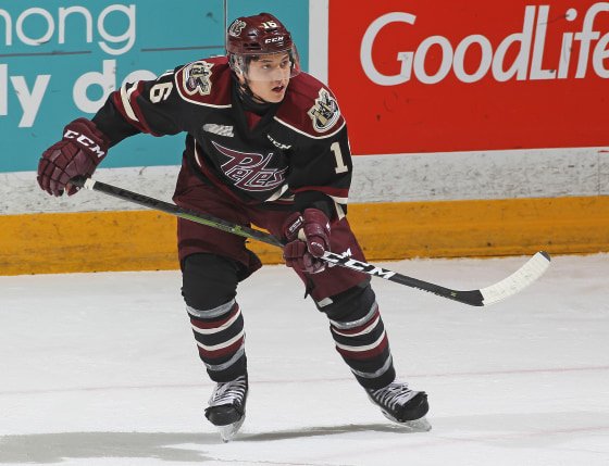 A new class of top-tier Asian hockey talent joins the NHL — and their ...