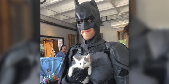 Real-life Batman rescues shelter animals from euthanasia