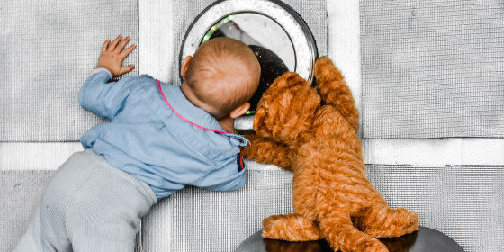 Alien-themed chestburster maternity, birthday photos wow