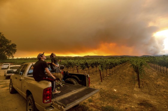 Wildfires taint West Coast vineyards with taste of smoke