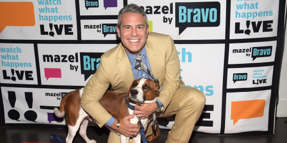 Andy Cohen reunites with Wacha, the rescue dog he re-homed