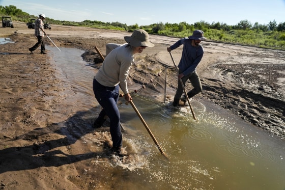 A race to save fish as Rio Grande dies, even in Albuquerque