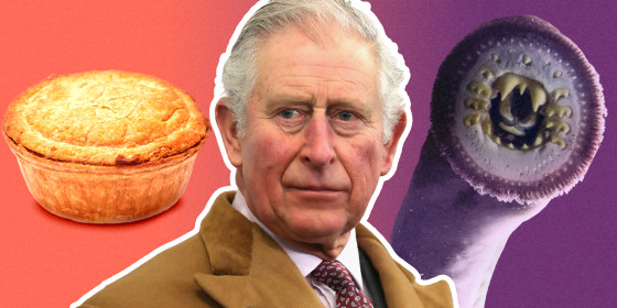 Lamprey Pie: King Charles’ Coronation Could Source Invasive Fish From US