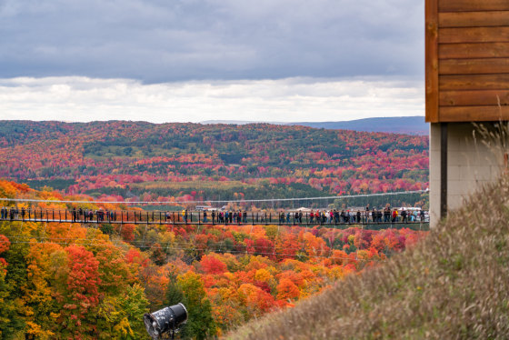 SkyBridge Michigan, World’s Longest Timber-Towered Suspension Bridge Opens