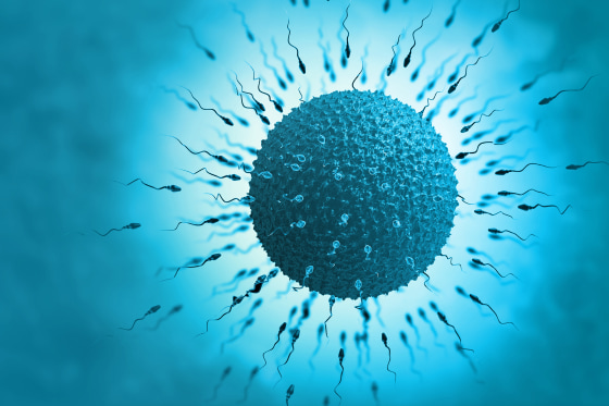 What’s Natural Birth Control? Experts Weigh In On the TikTok Trend