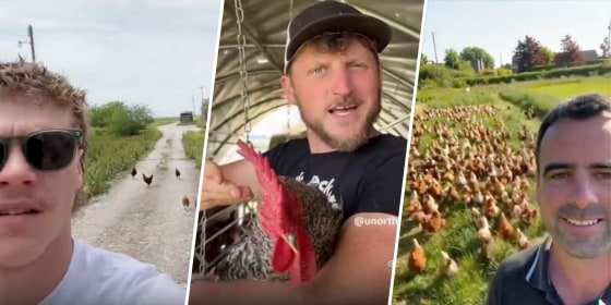 Chicken Wars 2023: Inside The Avian Trend Taking Over TikTok