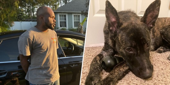 Florida man who shot dog in the face sentenced to 18 months in prison