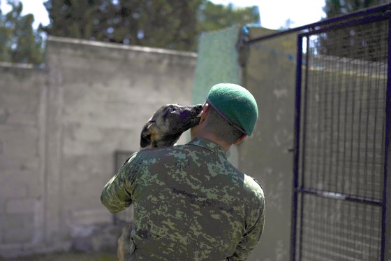 A puppy kindergarten run by Mexico's army trains rescue and drug ...