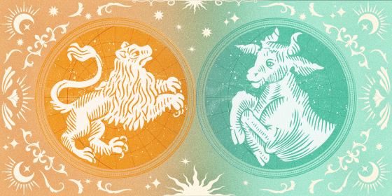 Leo and Taurus Compatibility: How The Zodiac Signs Connect In Love