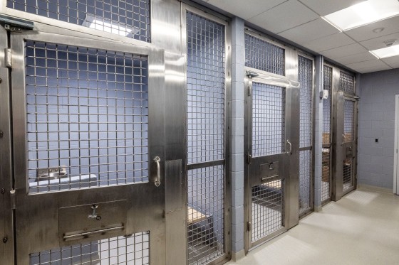 Justice Department launches hub to help jails improve conditions and safety