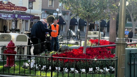 Disneyland Visitor Hospitalized After Street Lamp Blown Down On Main ...