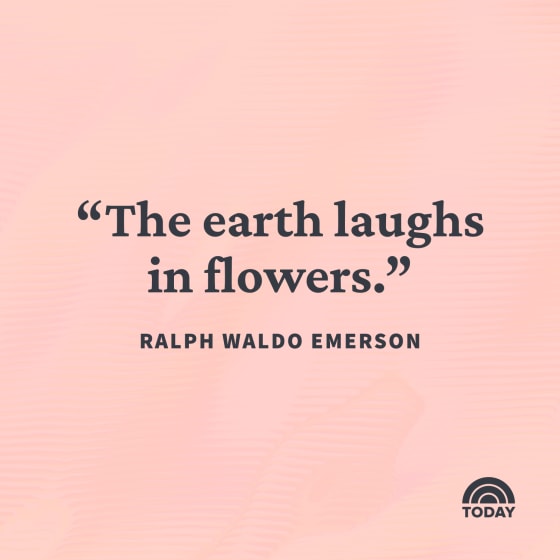 Spring Water Quotes 55 Spring Quotes And Spring Sayings To Celebrate