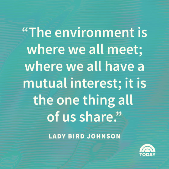 40 Best Environment Quotes To Inspire You To Help Save The Planet