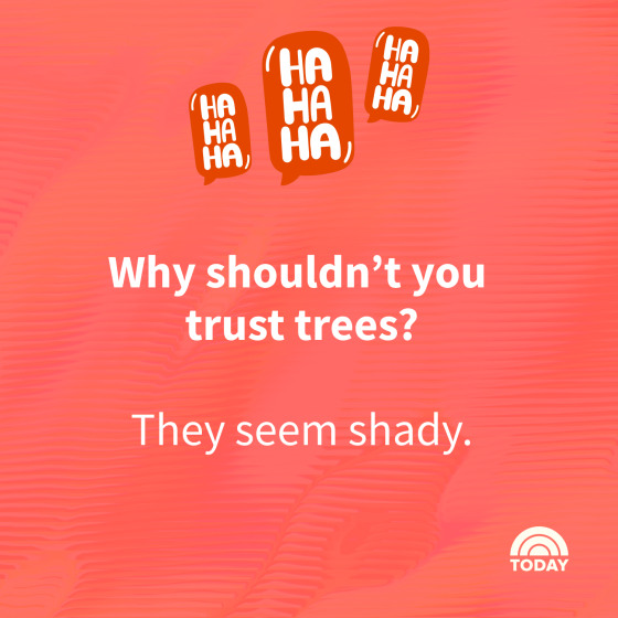 Trust Jokes Funny Signs, Funny Jokes, Hilarious, Memes Humor, Mbti,