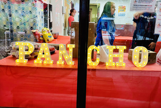 Rescue Pit Bill Saves Family Home From Armed Intruder