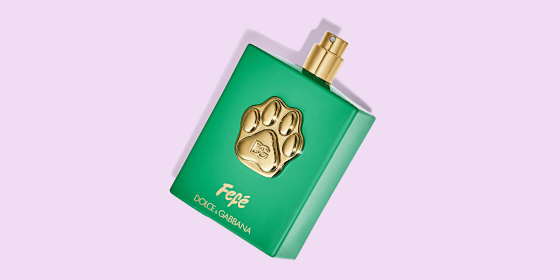 Dolce & Gabbana Releases Perfume for Dogs — Why 1 Vet is Against It