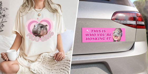 Moo Deng gifts: 14 best gift ideas for fans