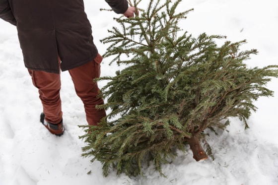 When to Take Your Christmas Tree Down According to Experts