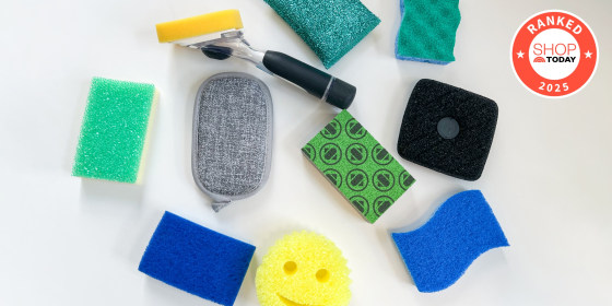 The 10 Best Kitchen Sponges 2025, Tested by an Editor