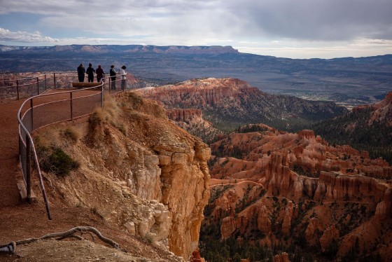 Cat survives nearly 400-foot fall at Utah national park that killed its ...