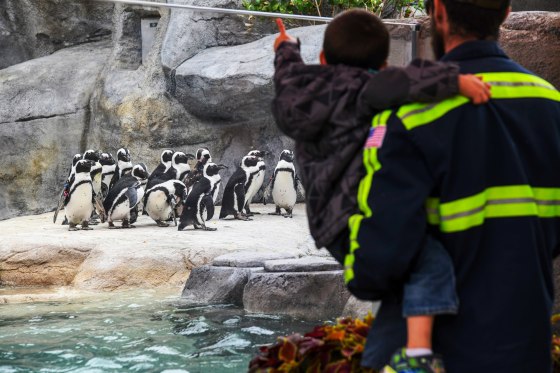 Denver Zoo to close early due to social media-inspired teenage 'takeover'
