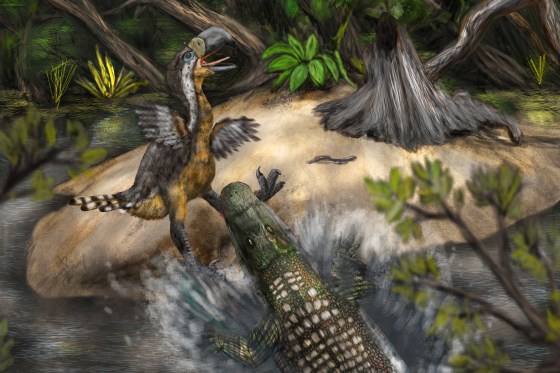 Terror bird may have been killed by even bigger creature 13 million ...