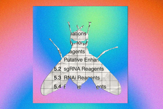 Courtney clenney onlyfans free fireworks happened right