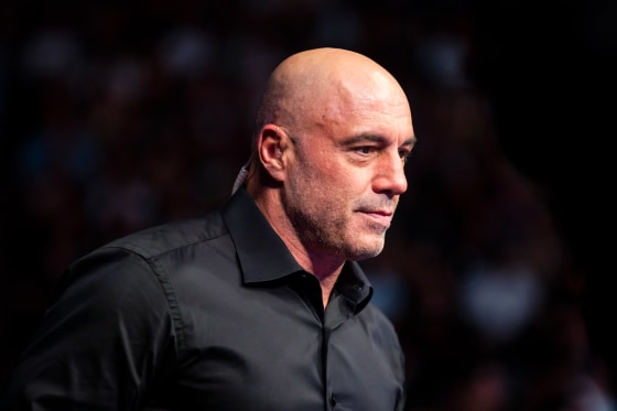 Joe Rogan criticizes ICE tactics: ‘Are we really going to be the Gestapo?’