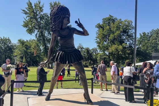 Tina Turner fans aren't impressed with new statue in her Tennessee hometown