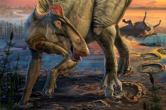 Wyoming dinosaur 'mummies' reveal a surprise: Hoofed feet