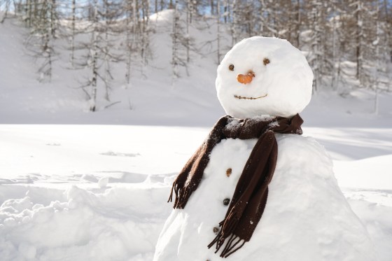 75 Best Snow Quotes for Winter Weather