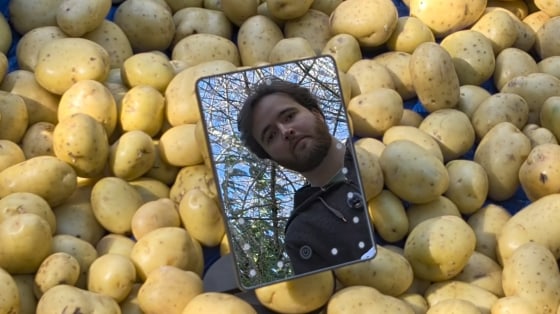 Man Buys 55 Gallons of Potatoes on Facebook, Then Turns His Yard Into a ...