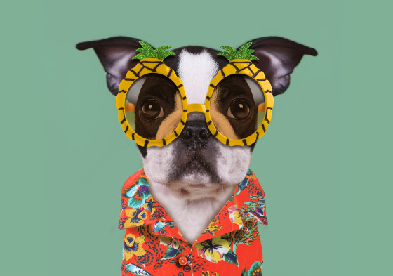 55 Funny Summer Jokes For Kids and Adults