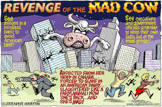 Mad Cow cartoons
