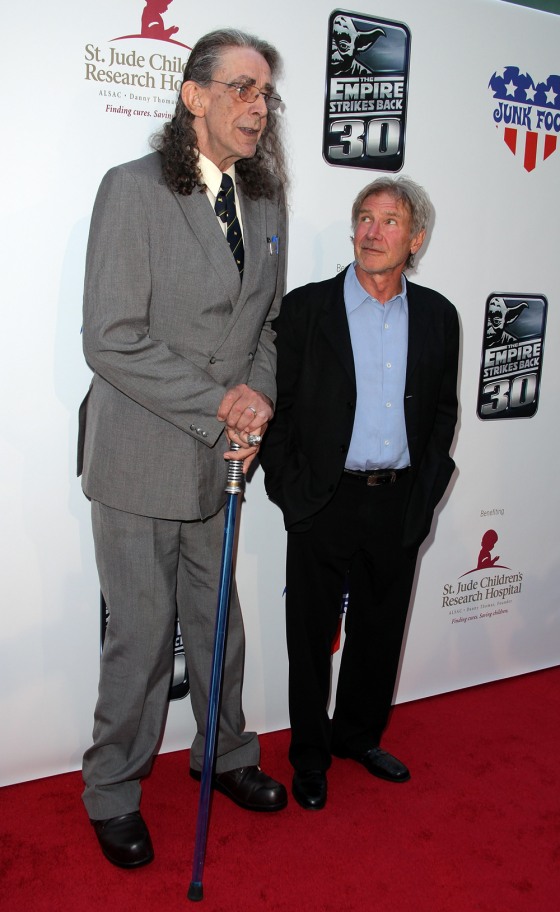 'Fanboys' director preps film about 'Star Wars' Chewbacca actor