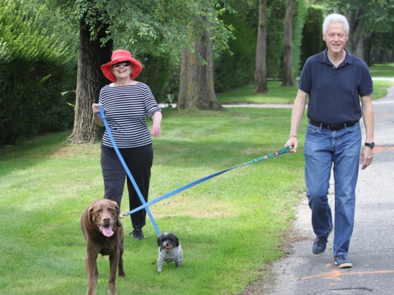 Power walk: Bill and Hillary Clinton take their dogs for a stroll
