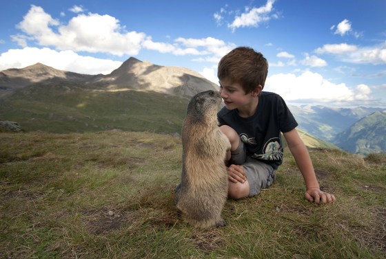 max the marmot